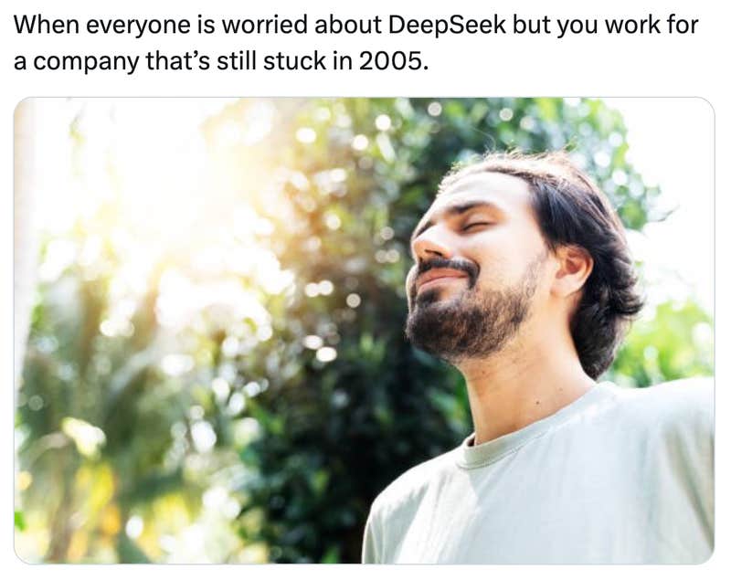 DeepSeek memes are roasting American A.I. giants