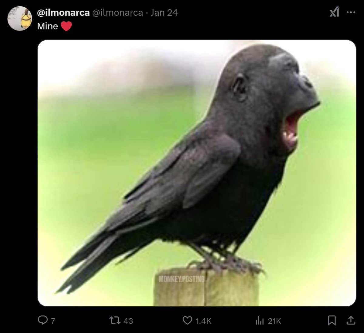 What is the 'Hello I am A Wildlife Photographer' meme?