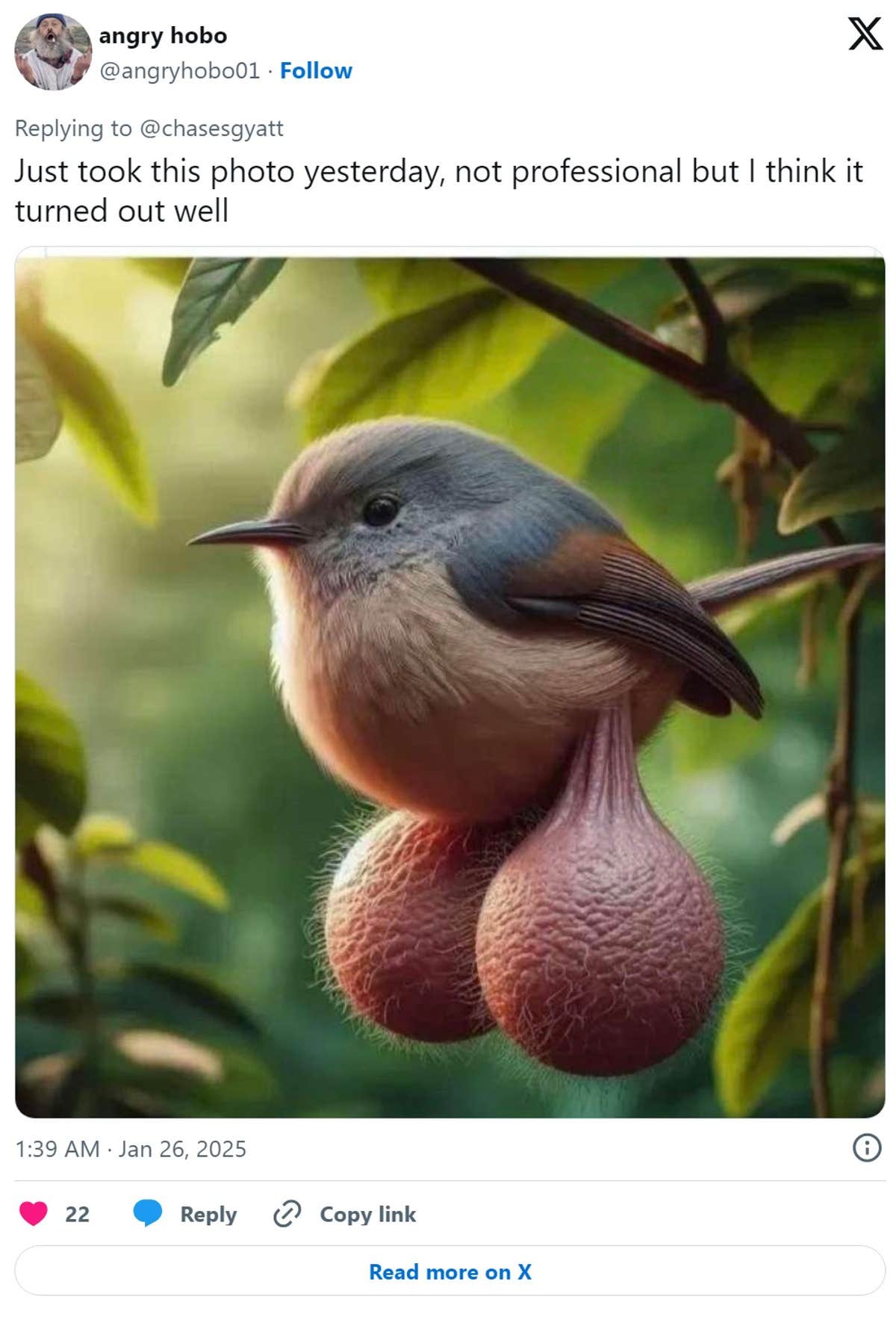 What is the 'Hello I am A Wildlife Photographer' meme?