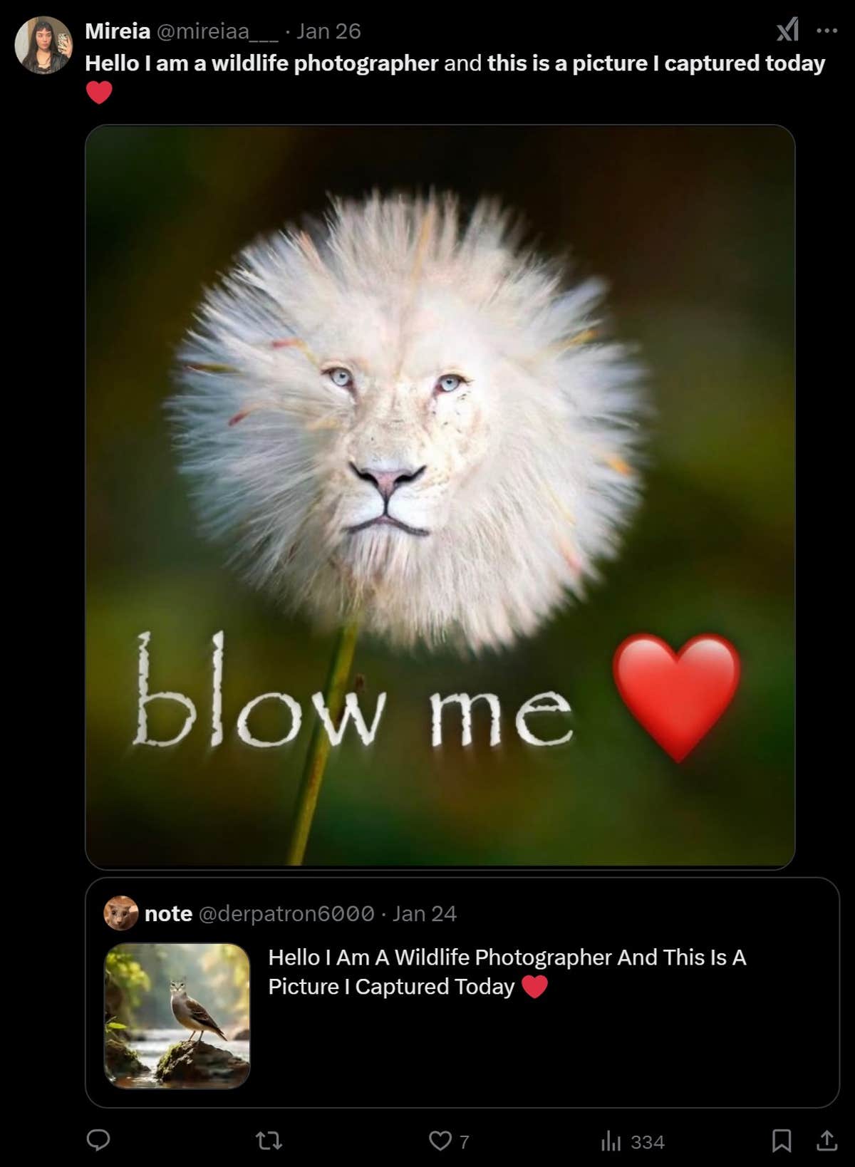 What is the 'Hello I am A Wildlife Photographer' meme?