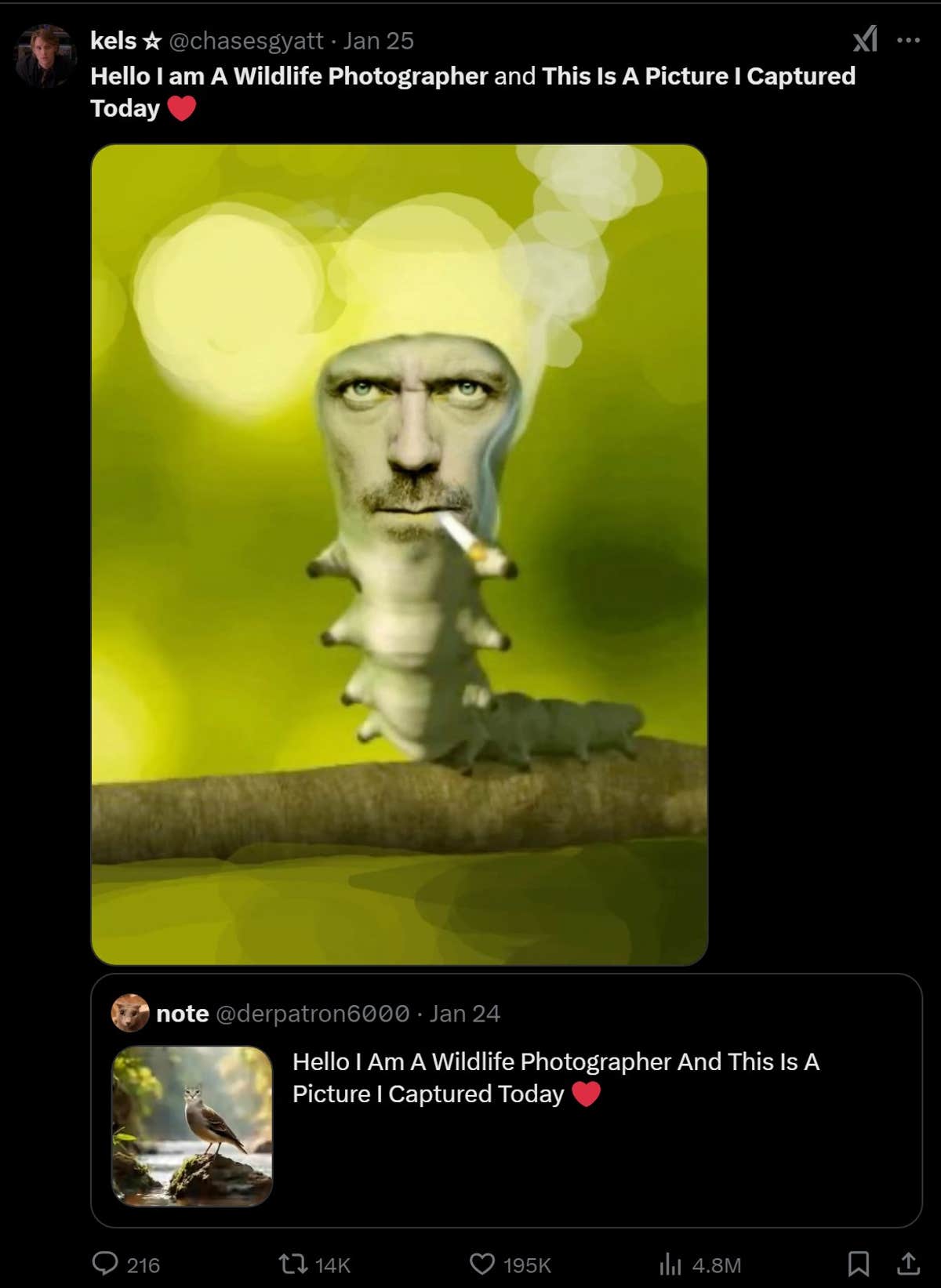 What is the 'Hello I am A Wildlife Photographer' meme?