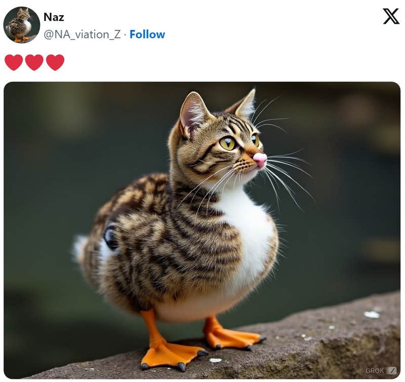 What is the 'Hello I am A Wildlife Photographer' meme?