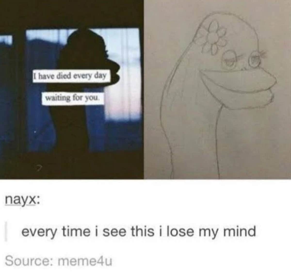 Why the ‘I Have Died Every Day Waiting for You’ meme refuses to die