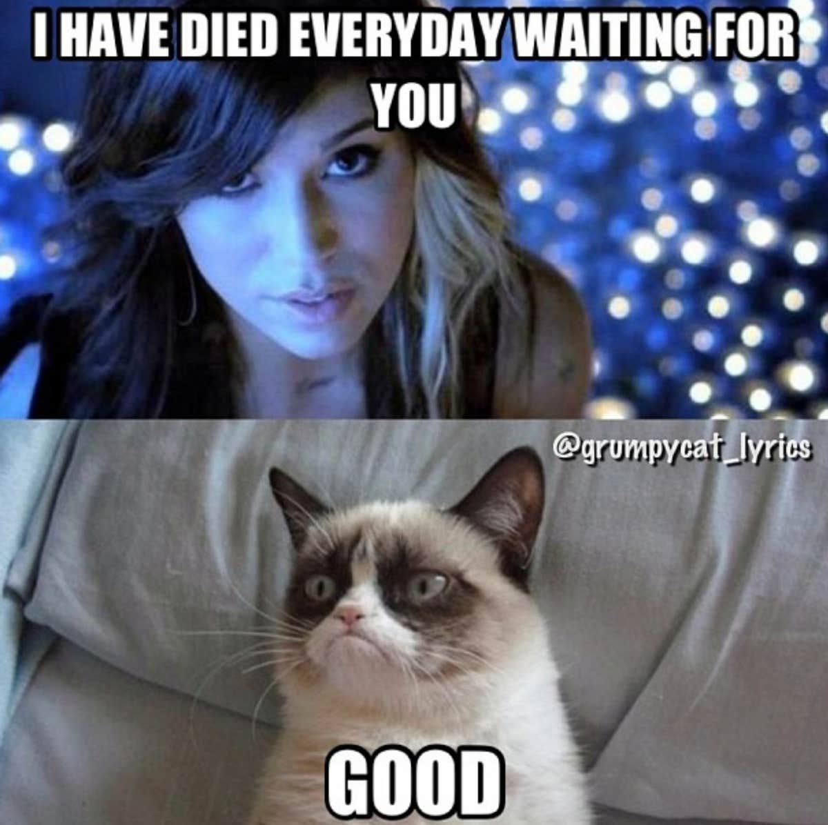 Why the ‘I Have Died Every Day Waiting for You’ meme refuses to die