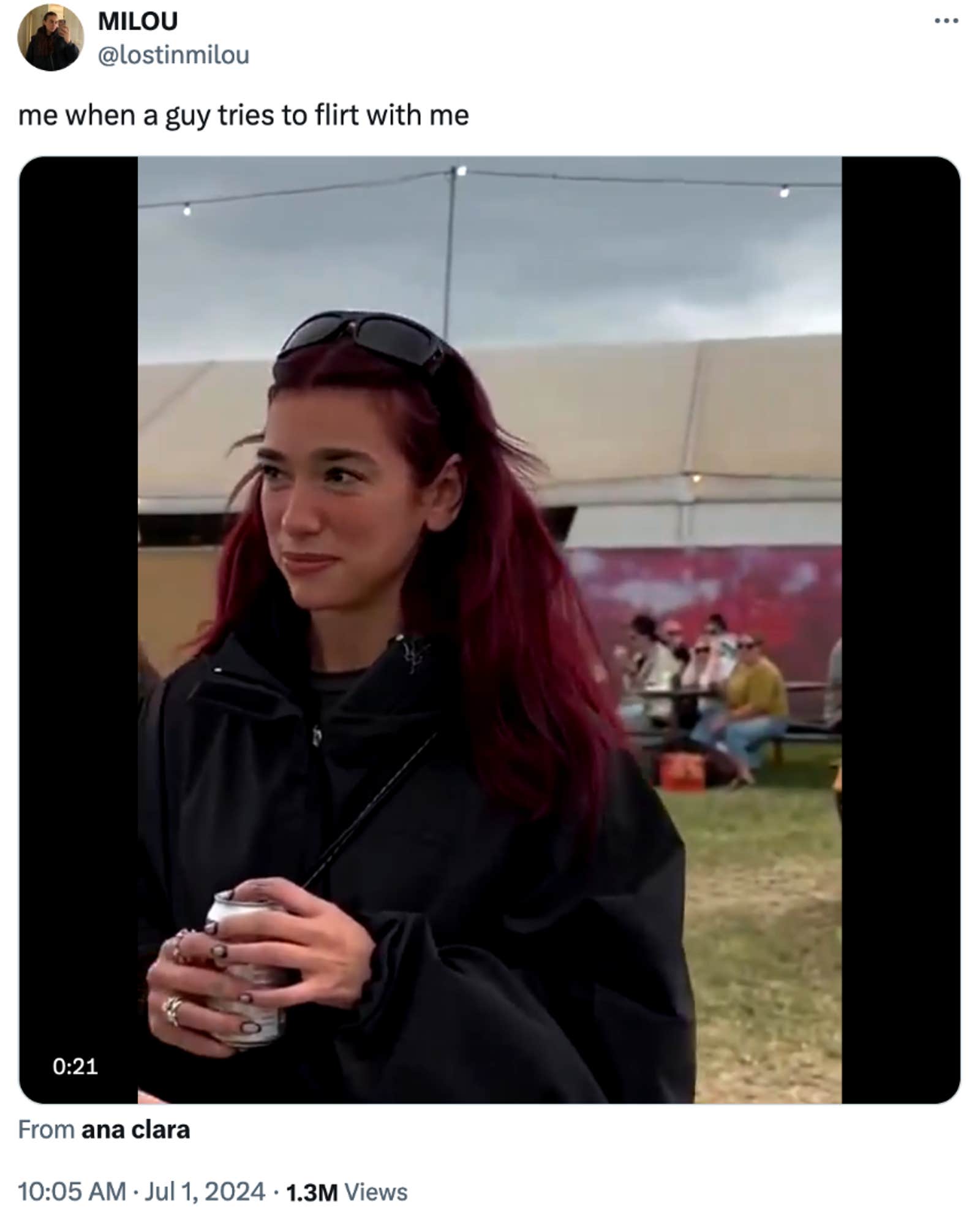 Meme History: Dua Lipa Memes