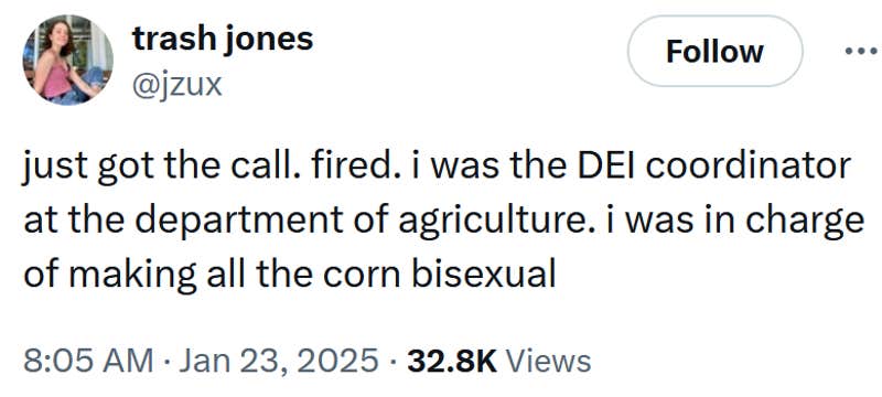 'Just Got The Call. Fired'— Memes Mock Trump's Anti-DEI Crusade