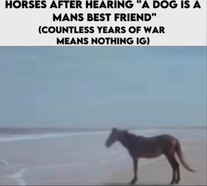 The Man Horse Meme: part man, part horse, all meme
