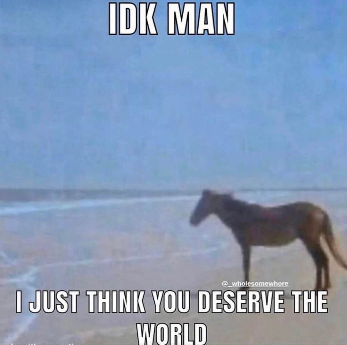 The Man Horse Meme: part man, part horse, all meme