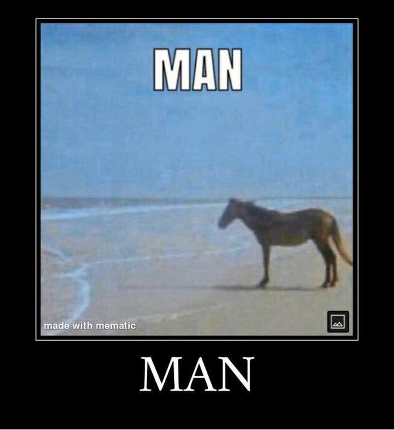 The Man Horse Meme: part man, part horse, all meme