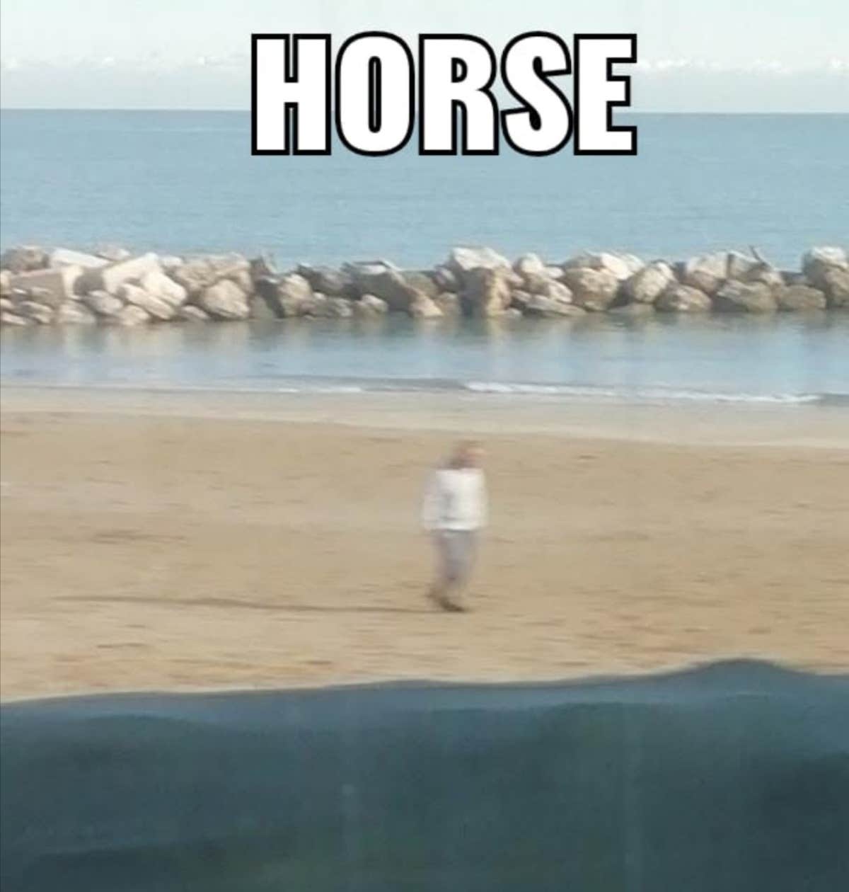 The Man Horse Meme: part man, part horse, all meme