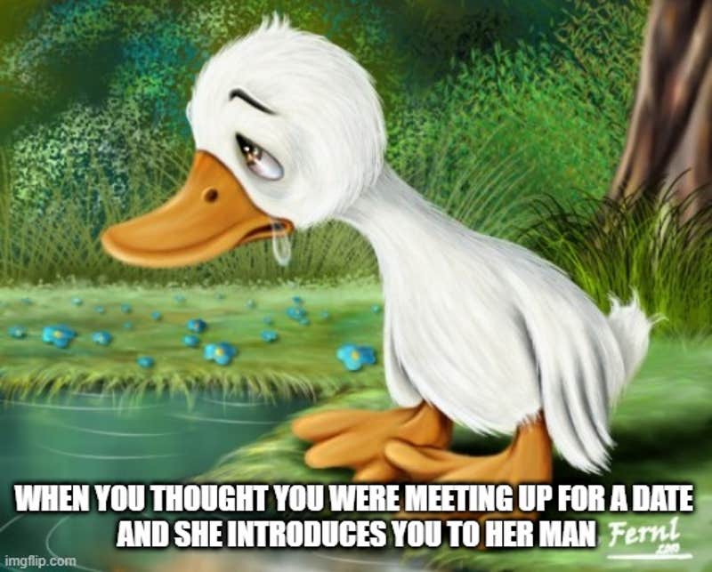 The ‘Sad Duck Pointing At Himself’ Meme, Explained