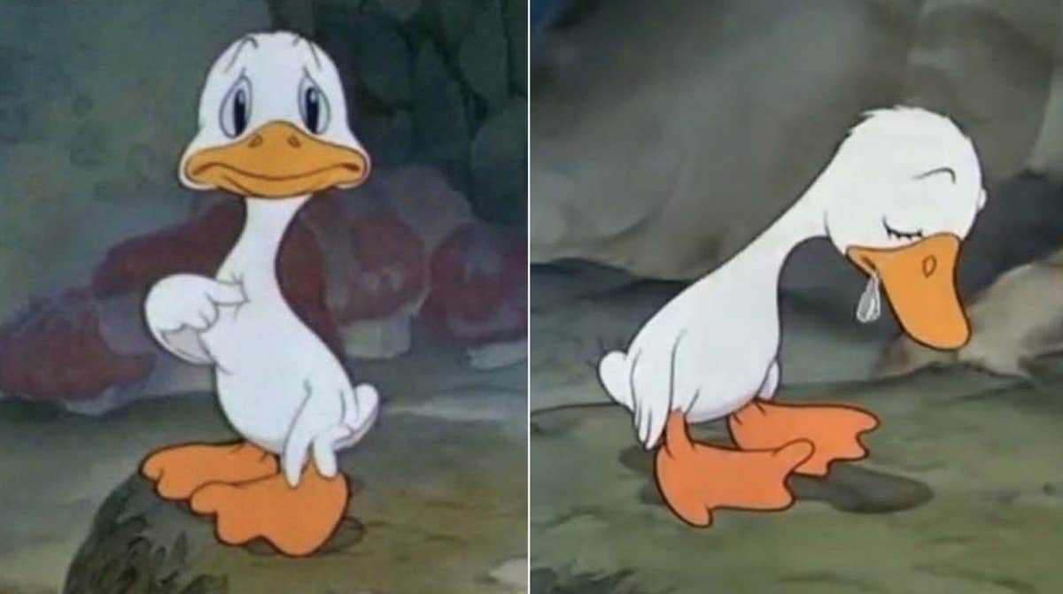 The ‘Sad Duck Pointing At Himself’ Meme, Explained