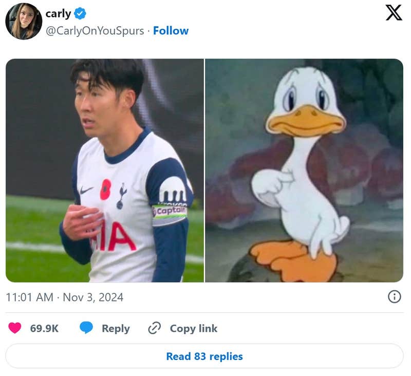 The ‘Sad Duck Pointing At Himself’ Meme, Explained