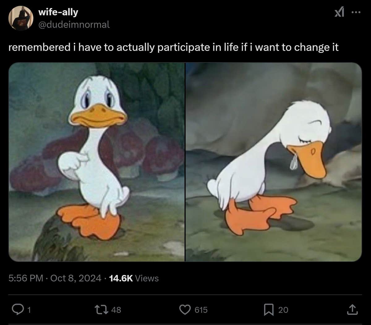 The ‘Sad Duck Pointing At Himself’ Meme, Explained