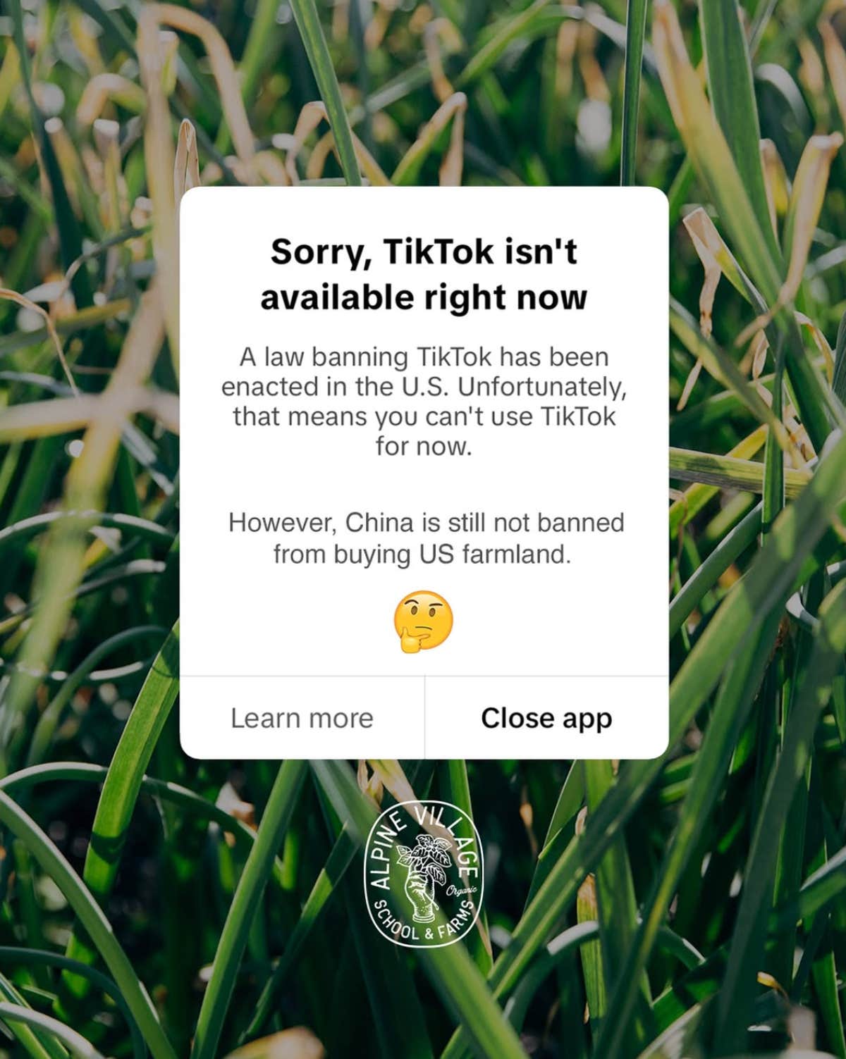 20 Of The Funniest TikTok Ban Message Parody Memes