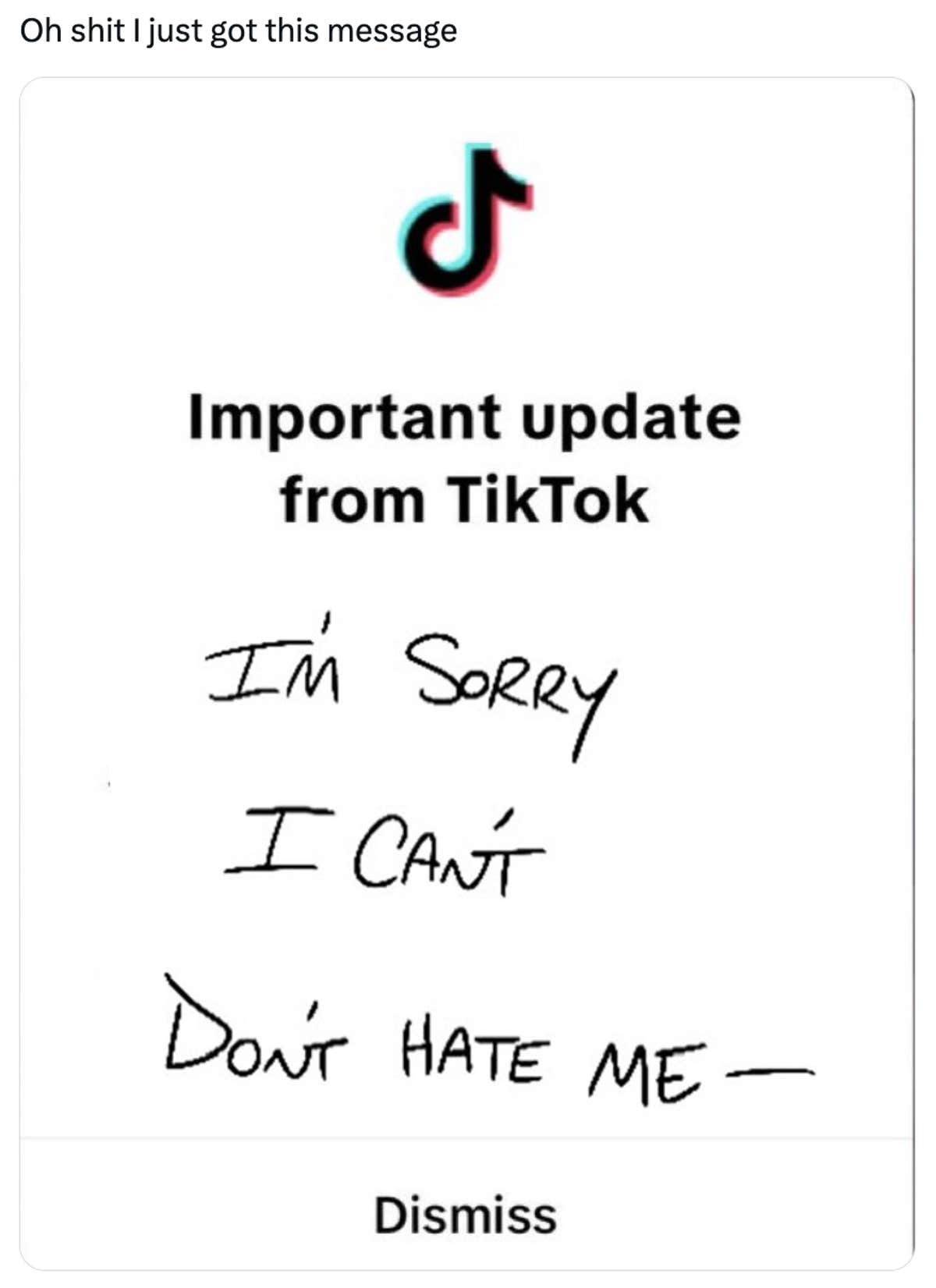 20 Of The Funniest TikTok Ban Message Parody Memes