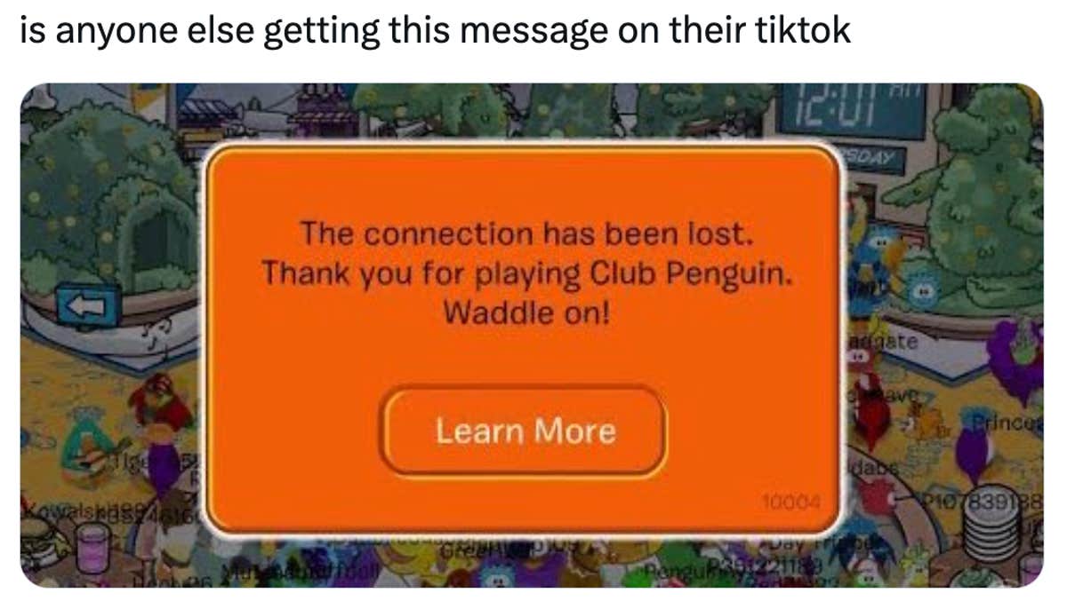 20 Of The Funniest TikTok Ban Message Parody Memes