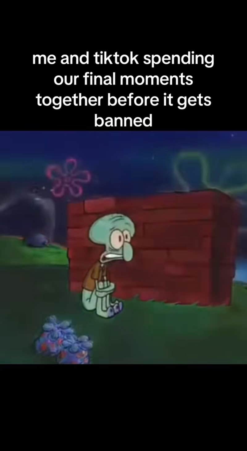 25 TikTok Ban Memes That Articulate How Users Are Feeling