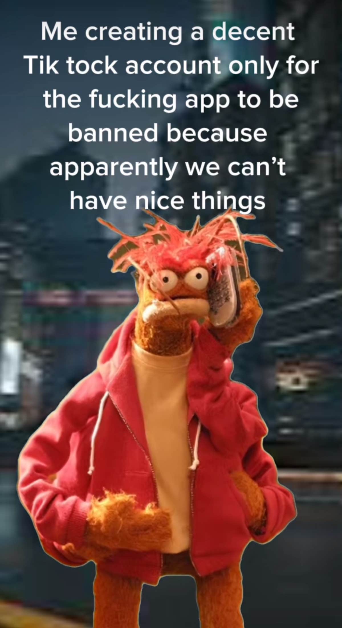 25 TikTok Ban Memes That Articulate How Users Are Feeling