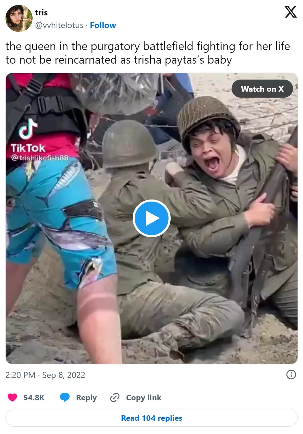 The Trisha Paytas War Meme has everyone screaming