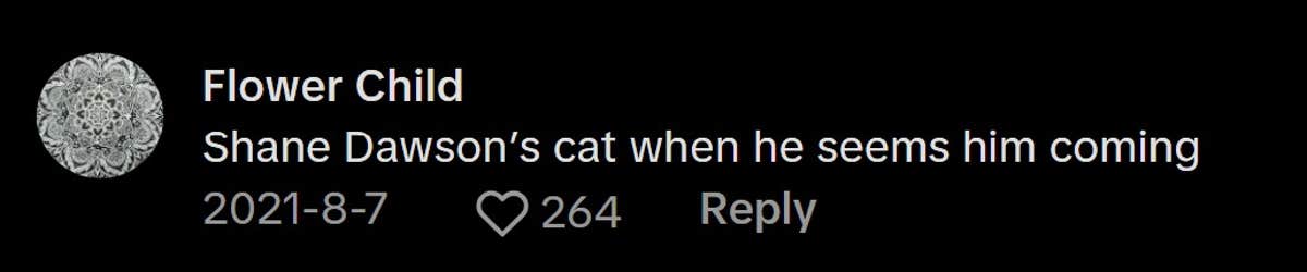 The Trisha Paytas War Meme has everyone screaming