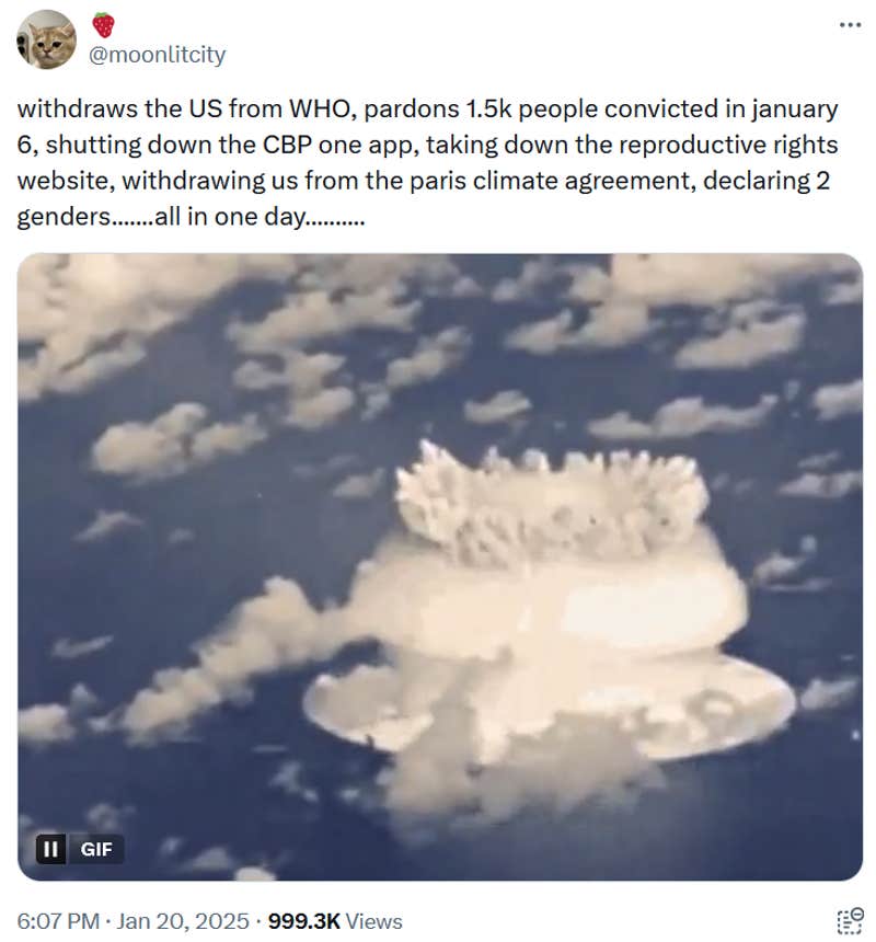 Trump Executive Order Memes Overwhelm Social Media