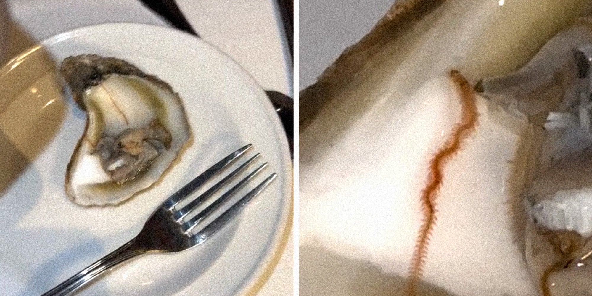 What Should You Do if You Find a Worm in a Raw Oyster?