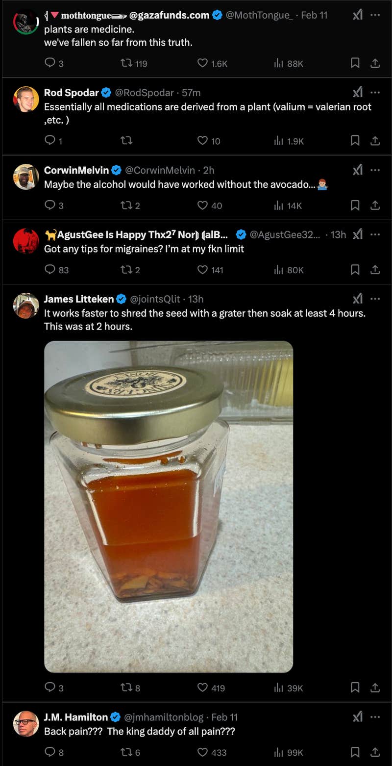 Does the avocado seed and alcohol hack actually relieve pain?