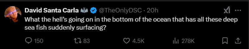 'Doomsday Fish' resurfaces in Mexico—why is it a bad omen?