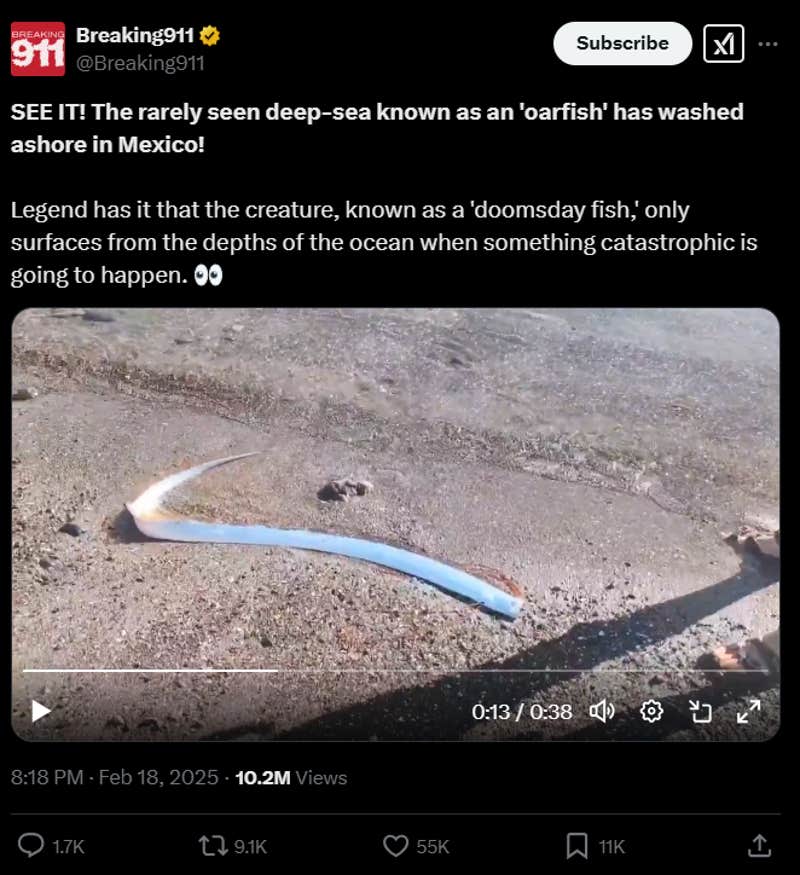 'Doomsday Fish' resurfaces in Mexico—why is it a bad omen?