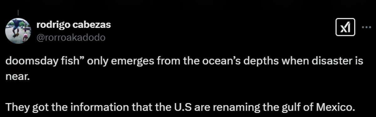 'Doomsday Fish' resurfaces in Mexico—why is it a bad omen?