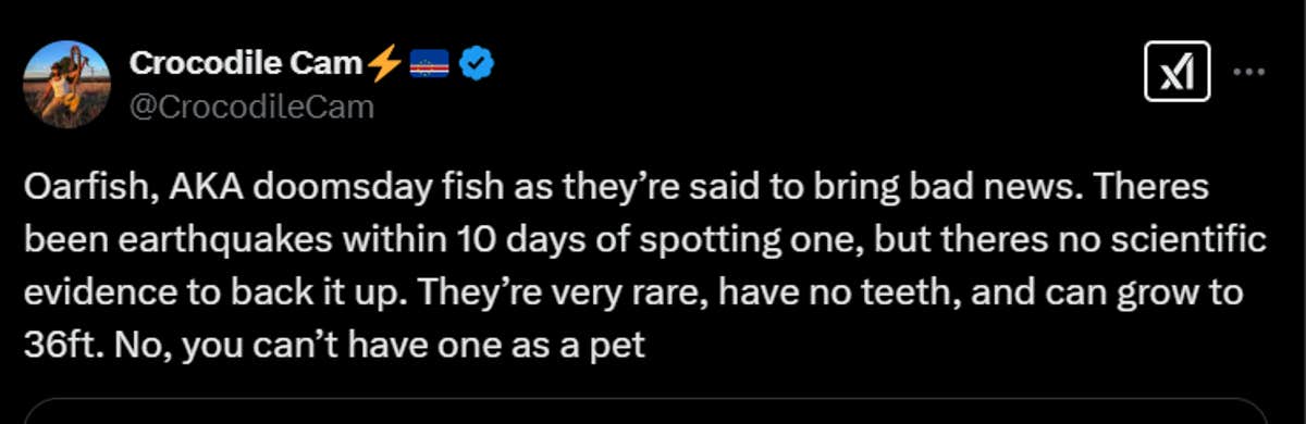 'Doomsday Fish' resurfaces in Mexico—why is it a bad omen?