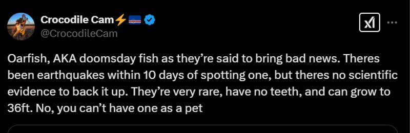 'Doomsday Fish' resurfaces in Mexico—why is it a bad omen?