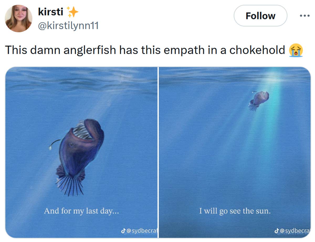 The internet is mourning the deep-sea anglerfish who swam to the ...