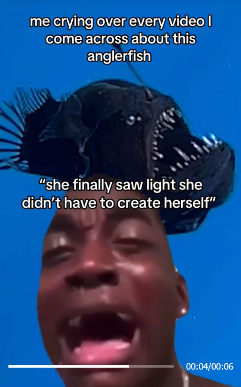 The internet is mourning the deep-sea anglerfish who swam to the ...