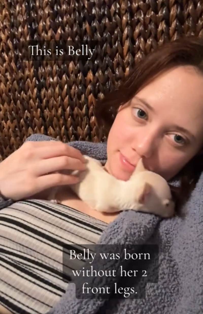 Belly, the puppy born without arms, is the most beloved dog on the ...