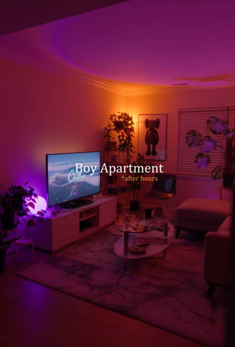 The Youth Are Rebranding Cohabitation As 'Boy Girl Apartments'