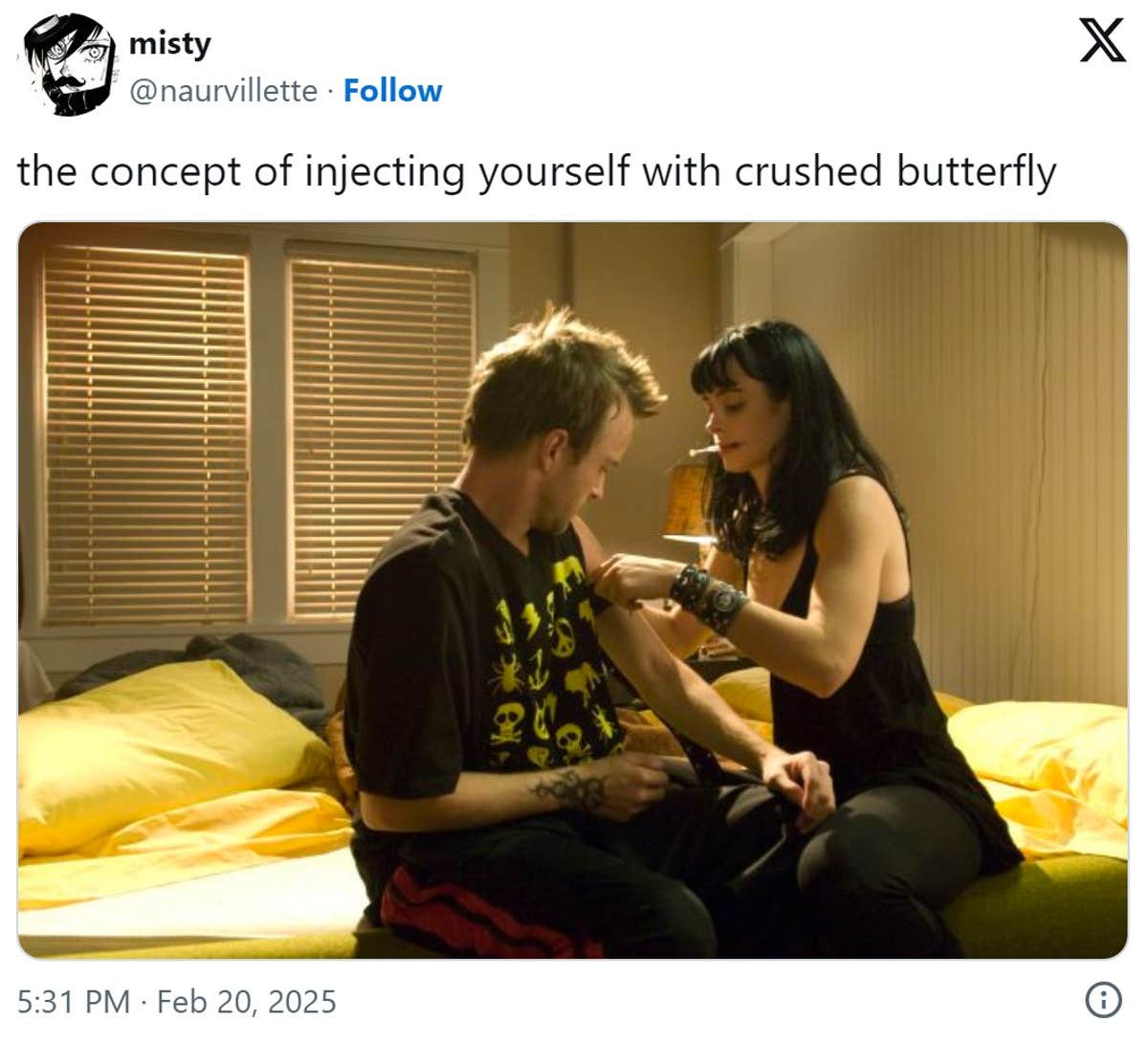 The Crushed Butterfly Death Meme, Explained