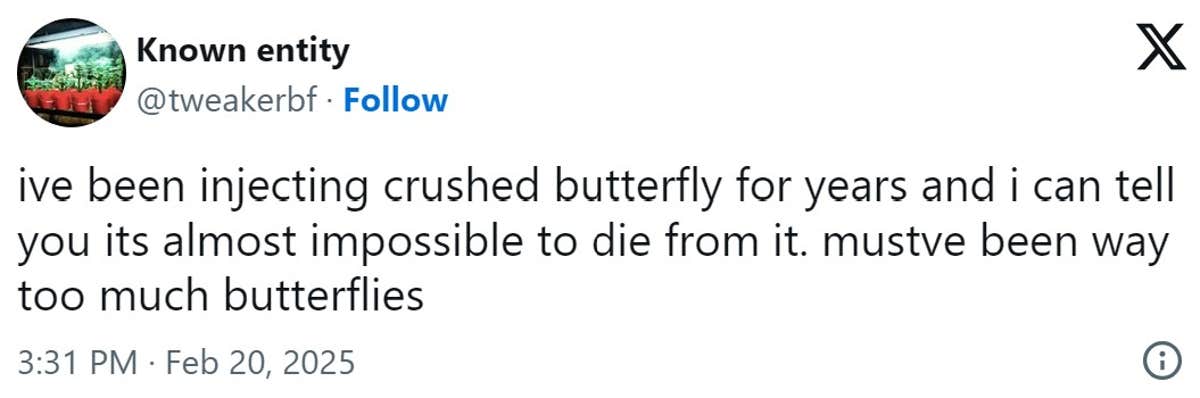 The Crushed Butterfly Death Meme, Explained