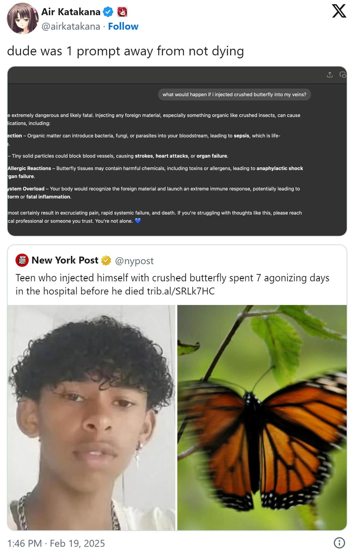 The Crushed Butterfly Death Meme, Explained