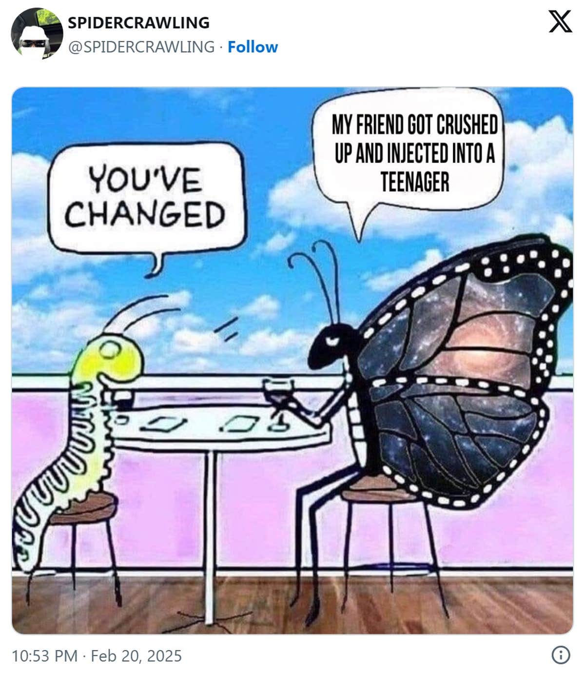 The Crushed Butterfly Death Meme, Explained