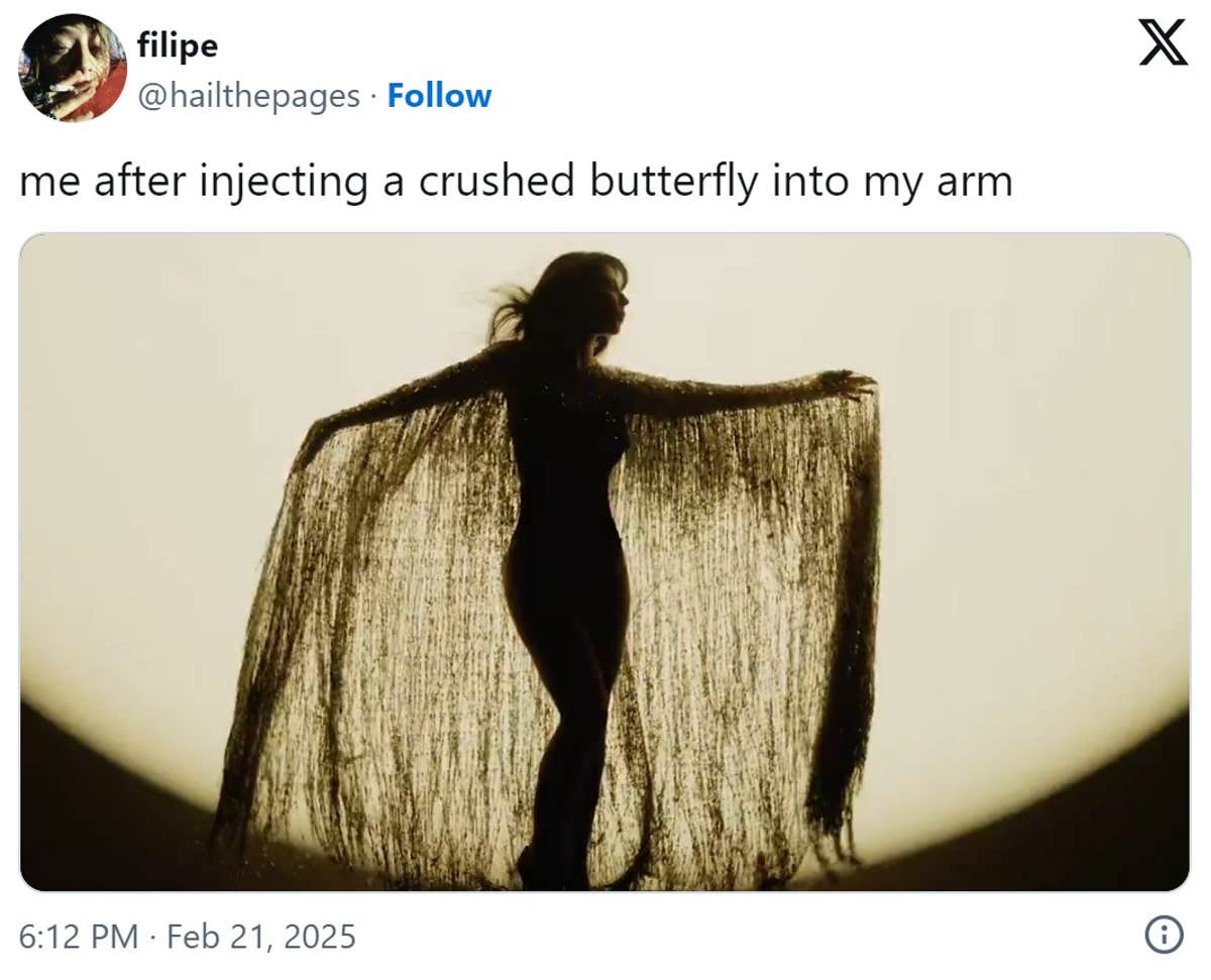 The Crushed Butterfly Death Meme, Explained