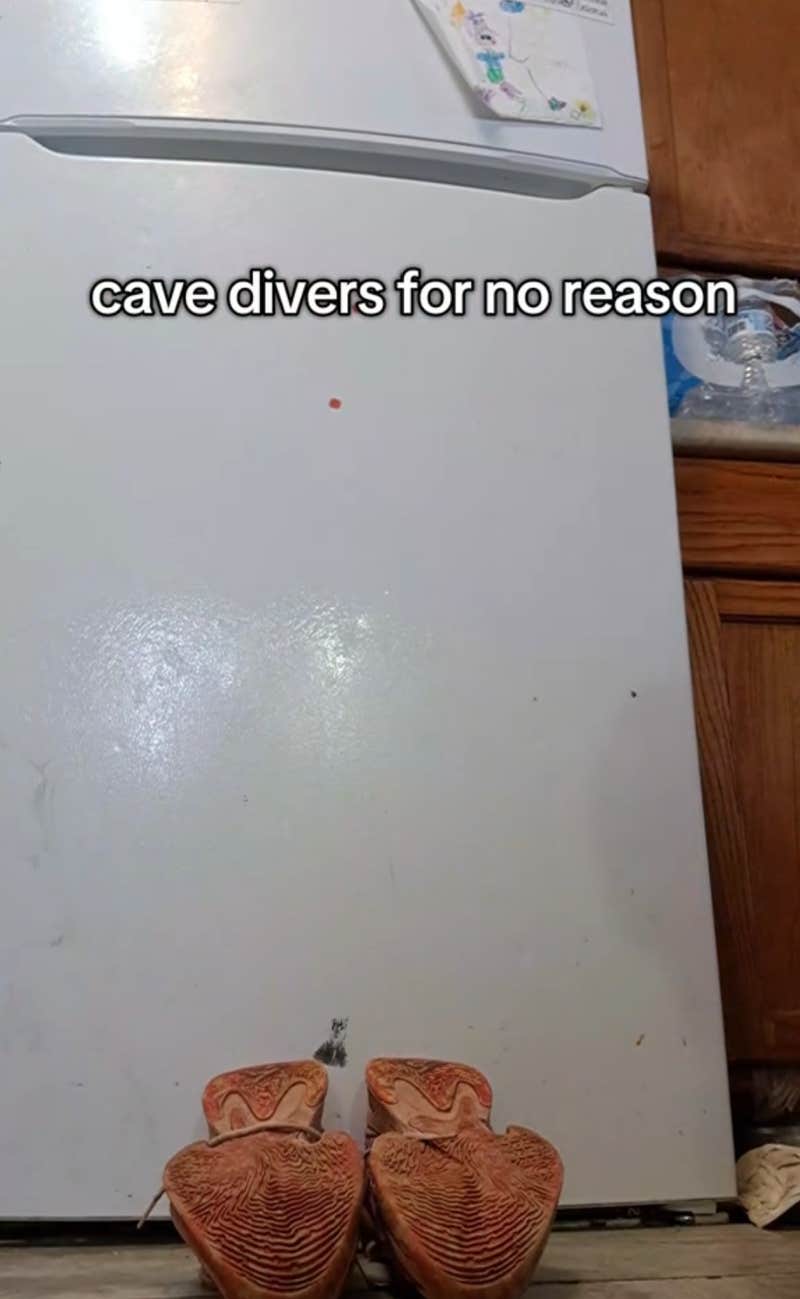 What is the viral Cave Diver meme? The dark origins, explained