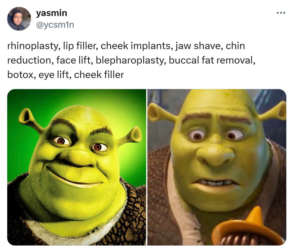 31 'Shrek 5' memes roasting the characters' new look