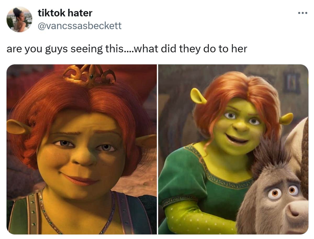 31 'Shrek 5' memes roasting the characters' new look