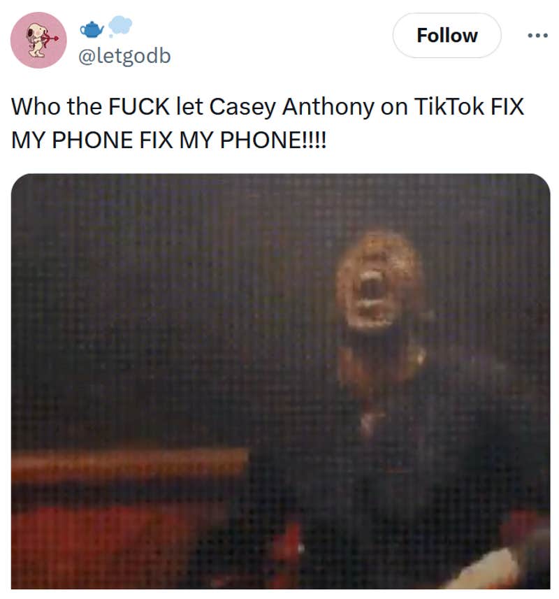 Backlash as Casey Anthony joins TikTok as a 'legal advocate'