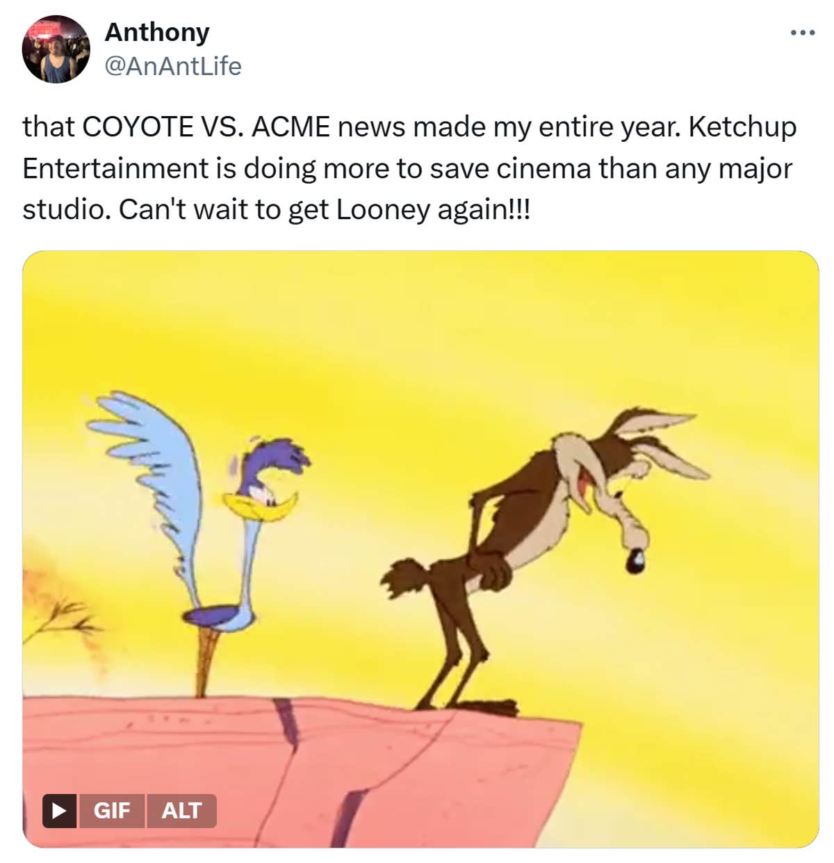 'Coyote vs. Acme' Movie Saved From Warner Bros.
