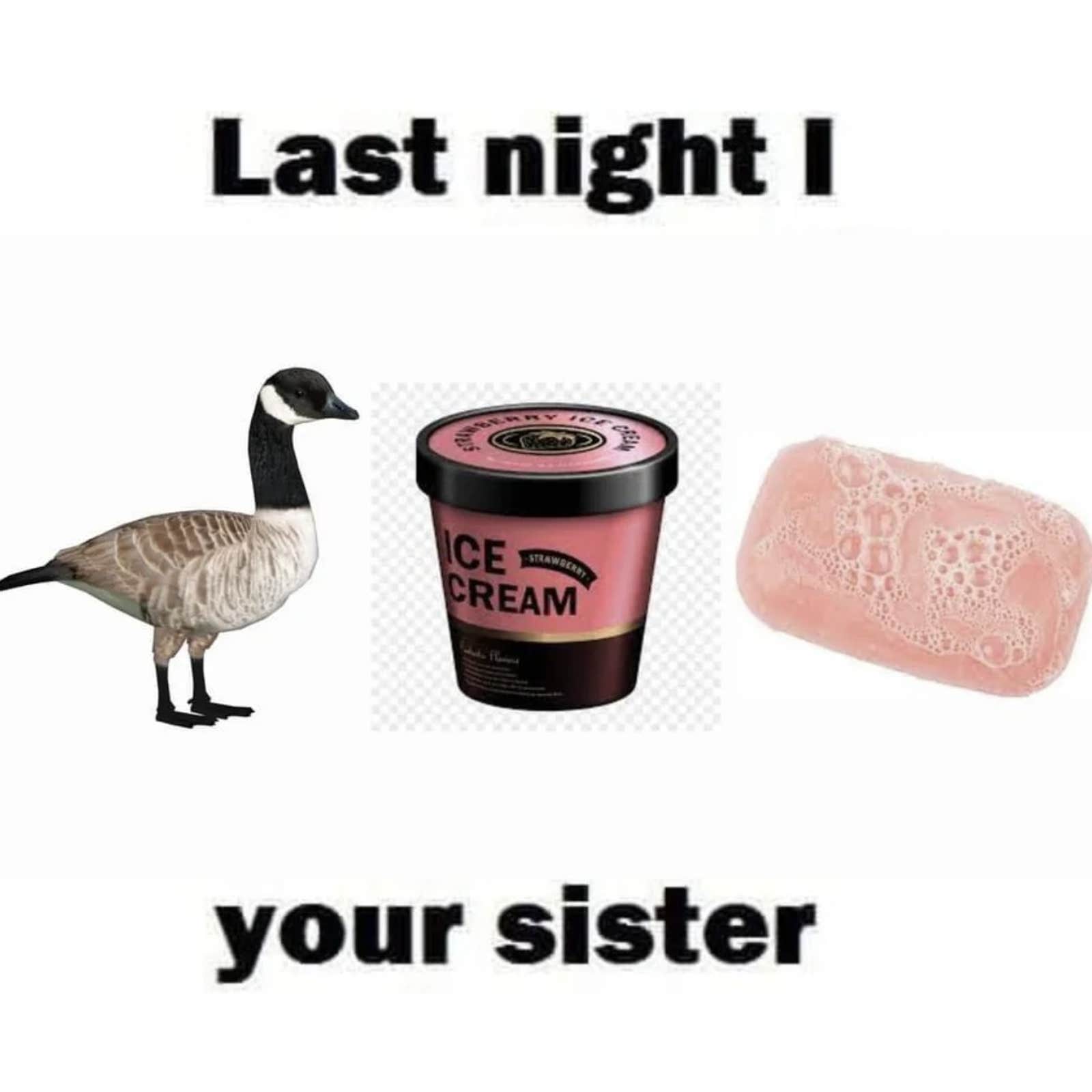 What is the Goose Ice Cream Soap meme? Unsolvable, for one
