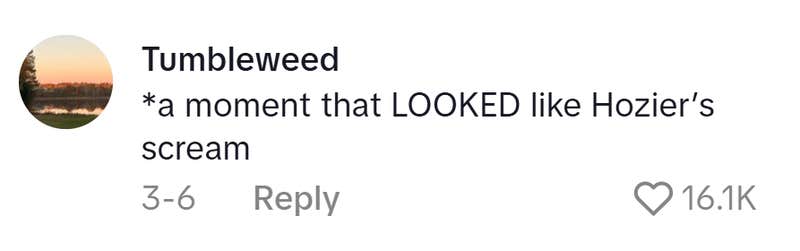 The 'Hozier Yell' TikTok Trend, Explained