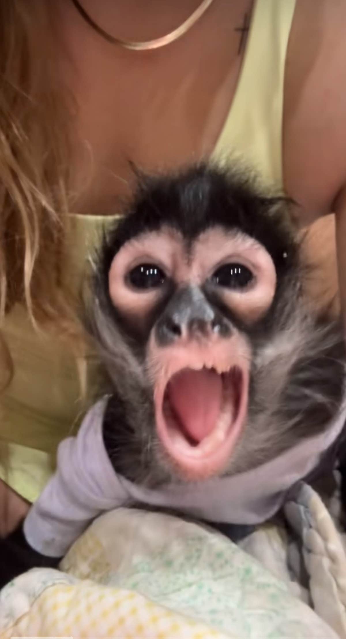 The 'Hozier Yell' TikTok Trend, Explained